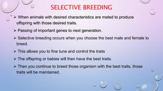 HYBRIDIZATION TECHNIQUES.power point presentation | PPTX