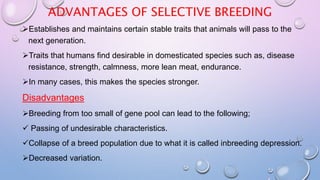 HYBRIDIZATION TECHNIQUES.power point presentation | PPTX