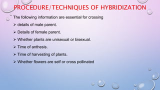 HYBRIDIZATION TECHNIQUES.power point presentation | PPTX