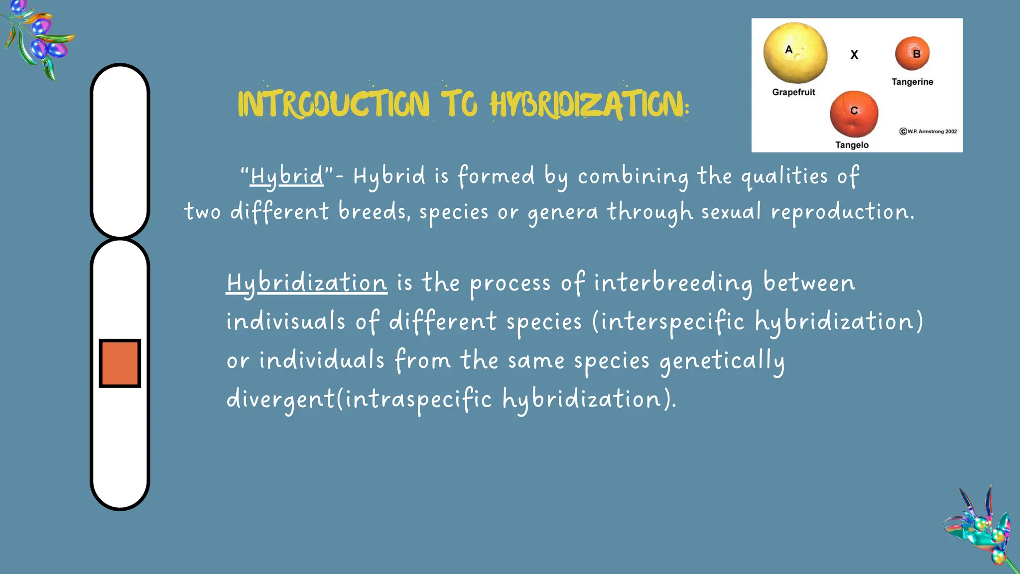 HYBRIDIZATION TECHNIQUES | PPT