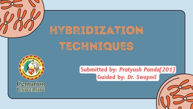 HYBRIDIZATION TECHNIQUES | PPT