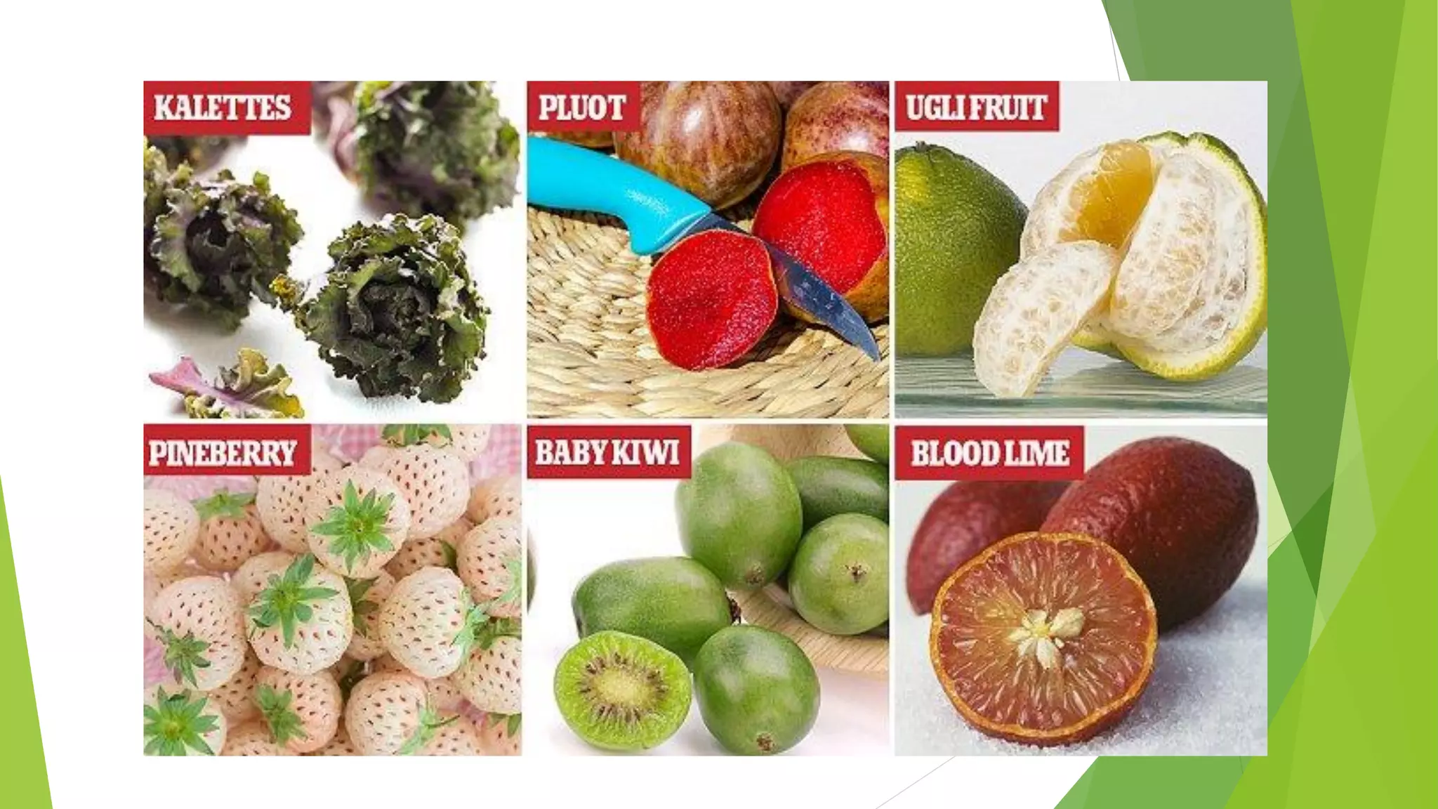 Hybridization Techniques in Crop Improvement | PDF