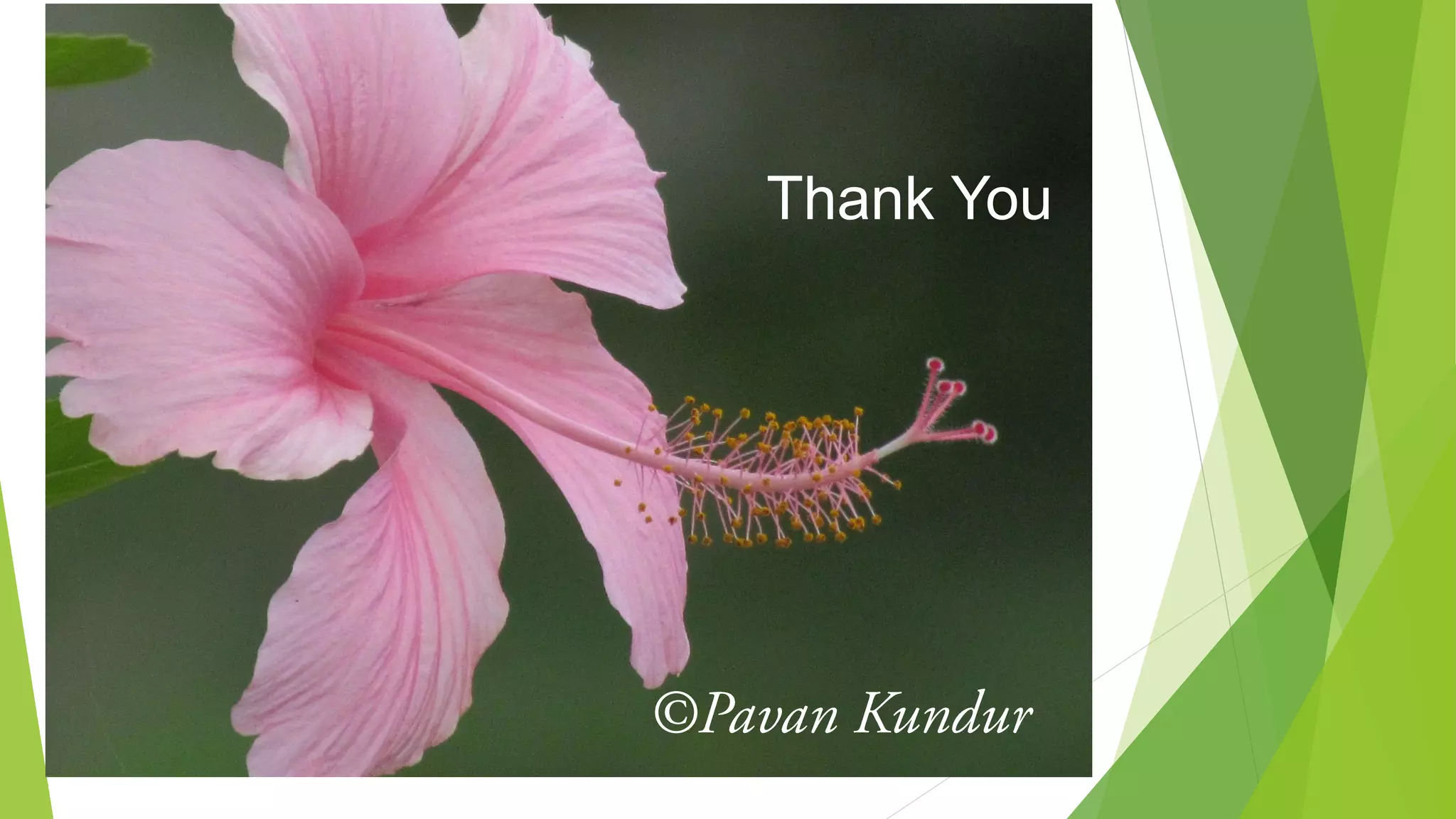 Hybridization Techniques in Crop Improvement | PDF