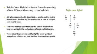 Hybridization Techniques in Crop Improvement | PDF