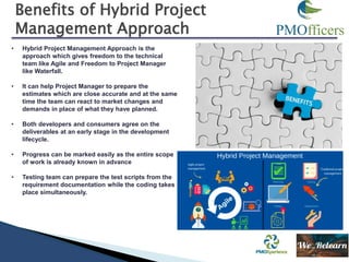 PMO & Project Management Hybrid Model. Part1 | PDF