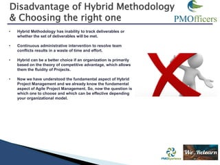 PMO & Project Management Hybrid Model. Part1 | PDF
