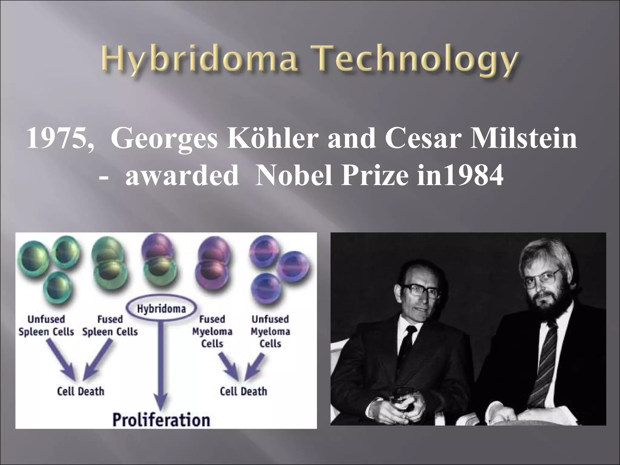 Hybridoma technology and application for monoclonal antibodies | PPT