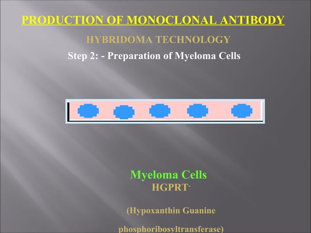 Hybridoma technology and application for monoclonal antibodies | PPT