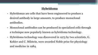 Hybridoma | PPTX