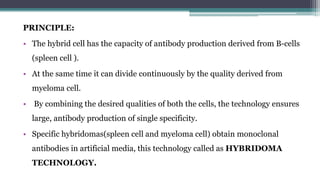 Hybridoma | PPTX