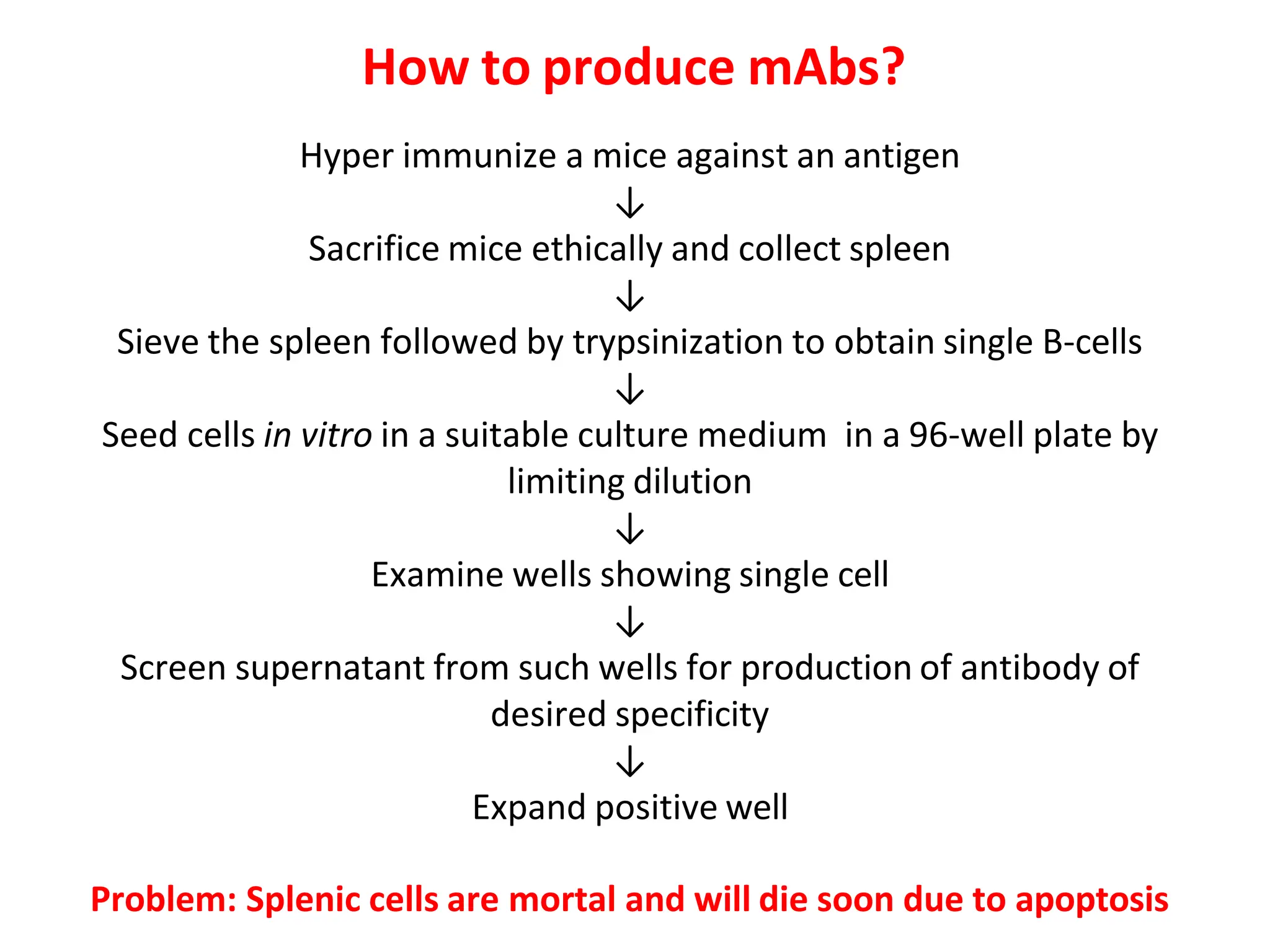 Hybridoma-Technology-and-mAbs. Biotechnologypptx | PPTX