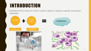 Hybridoma cell | PPTX