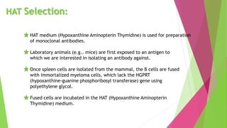 Hybridoma & monoclonal antibody | PPTX