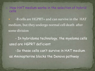 Hybridoma technology | PPTX
