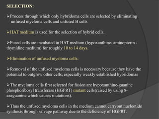 Hybridoma technology | PPTX