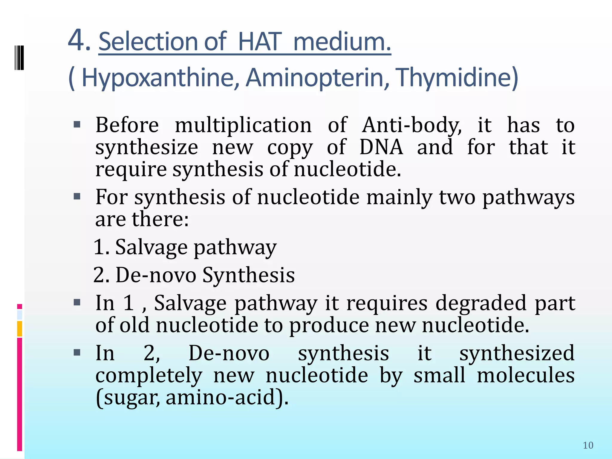 Hybridoma Technology | PPTX