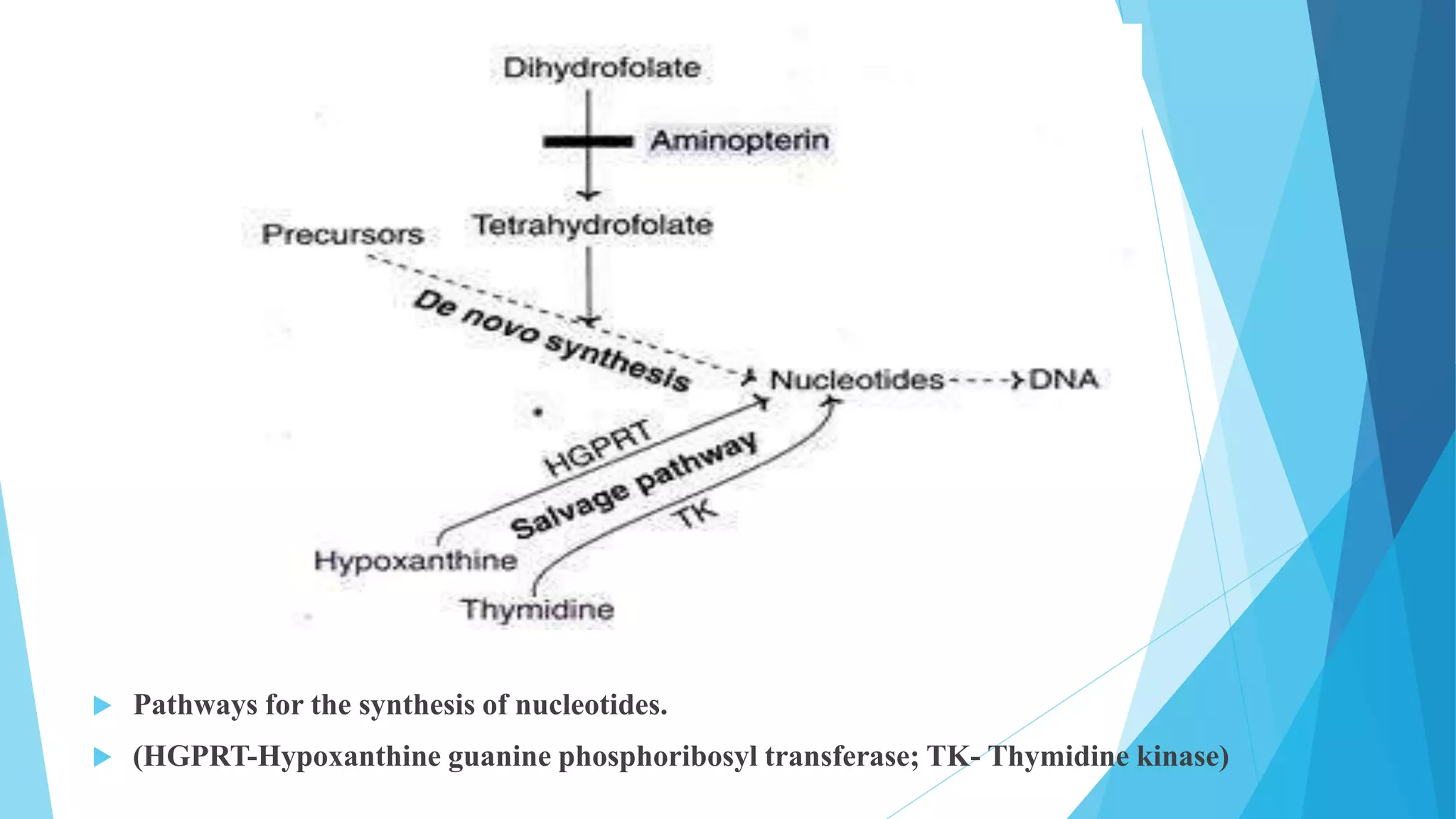 Hybridoma technology | PPTX