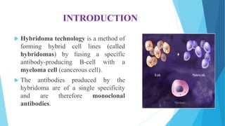 Hybridoma technology | PPTX