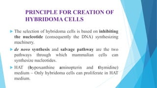 Hybridoma technology | PPTX