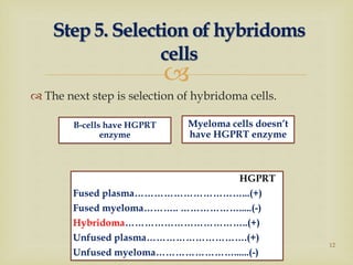 Hybridoma technology | PPTX