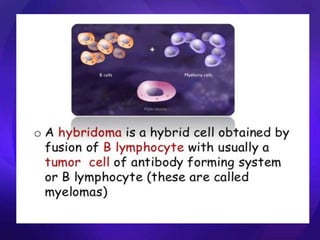 Hybridoma technology | PPTX