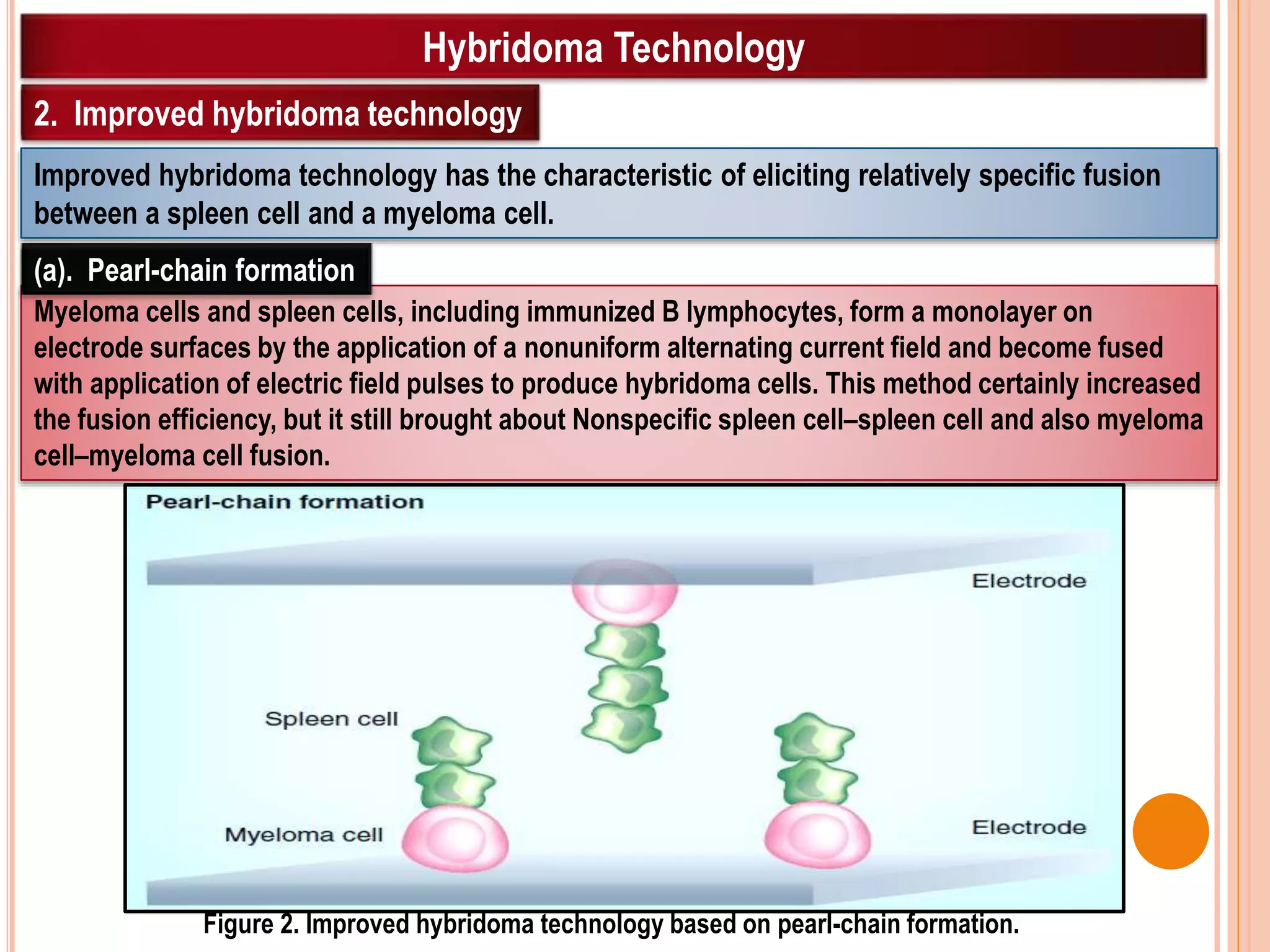 Next Generation Hybridoma Technology | PPTX