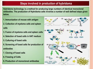Next Generation Hybridoma Technology | PPTX