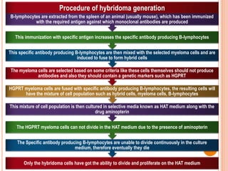 Next Generation Hybridoma Technology | PPTX