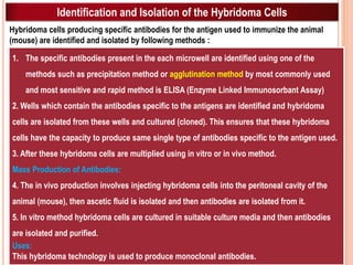 Next Generation Hybridoma Technology | PPTX