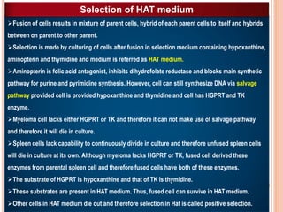 Next Generation Hybridoma Technology | PPTX
