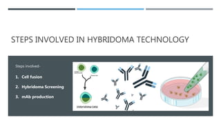 Hybridoma Technology.pptx