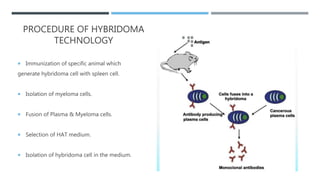 Hybridoma Technology.pptx