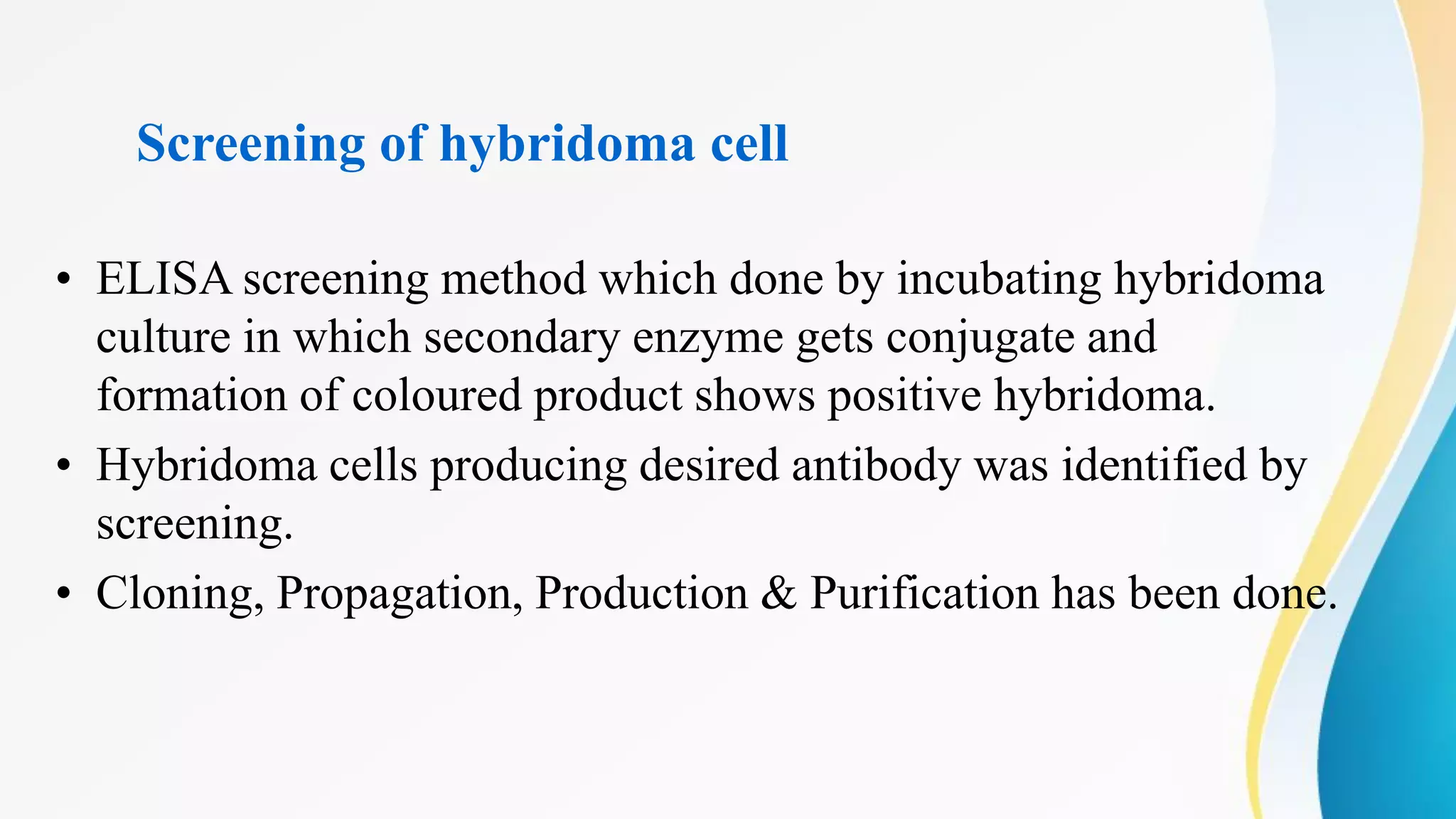 HYBRIDOMA TECHNOLOGY | PDF