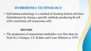 HYBRIDOMA TECHNOLOGY | PDF