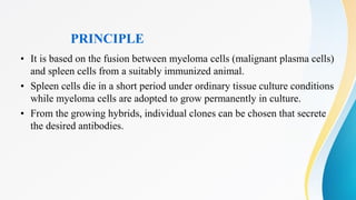 HYBRIDOMA TECHNOLOGY | PDF