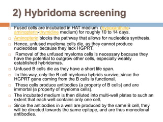 hybridoma technology.pptx | Blood Disorders | Diseases and Conditions