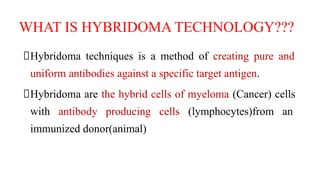 Hybridoma Technology.pdf