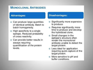 Production of Monoclonal Antibodies by Hybridoma Technology.pptx
