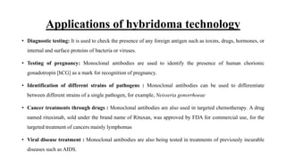 Hybridoma Technology: Introduction, Procedure and applications (BP605T ...