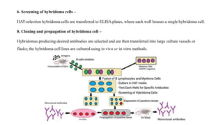 Hybridoma Technology: Introduction, Procedure and applications (BP605T ...