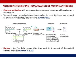 Hybridoma technology monoclonal antibodies | PPT
