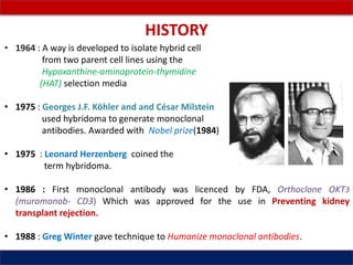 Hybridoma technology monoclonal antibodies | PPTX