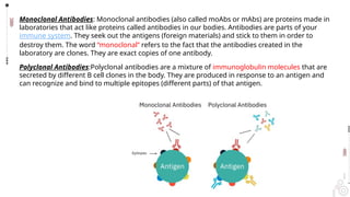 Hybridoma Technology in Immunological Assays | PPTX