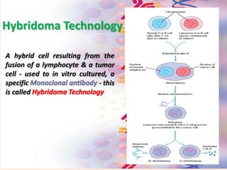 HYBRIDOMA_TECHNOLOGY_and_ITS_APPLICATION.pptx