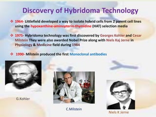HYBRIDOMA_TECHNOLOGY_and_ITS_APPLICATION.pptx