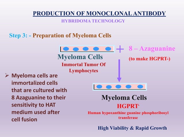 HYBRIDOMA_TECHNOLOGY_and_ITS_APPLICATION.pptx