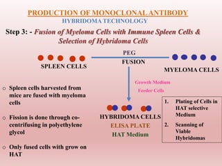HYBRIDOMA_TECHNOLOGY_and_ITS_APPLICATION.pptx