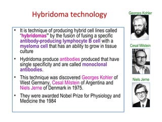 Hybridoma Technology | PPT