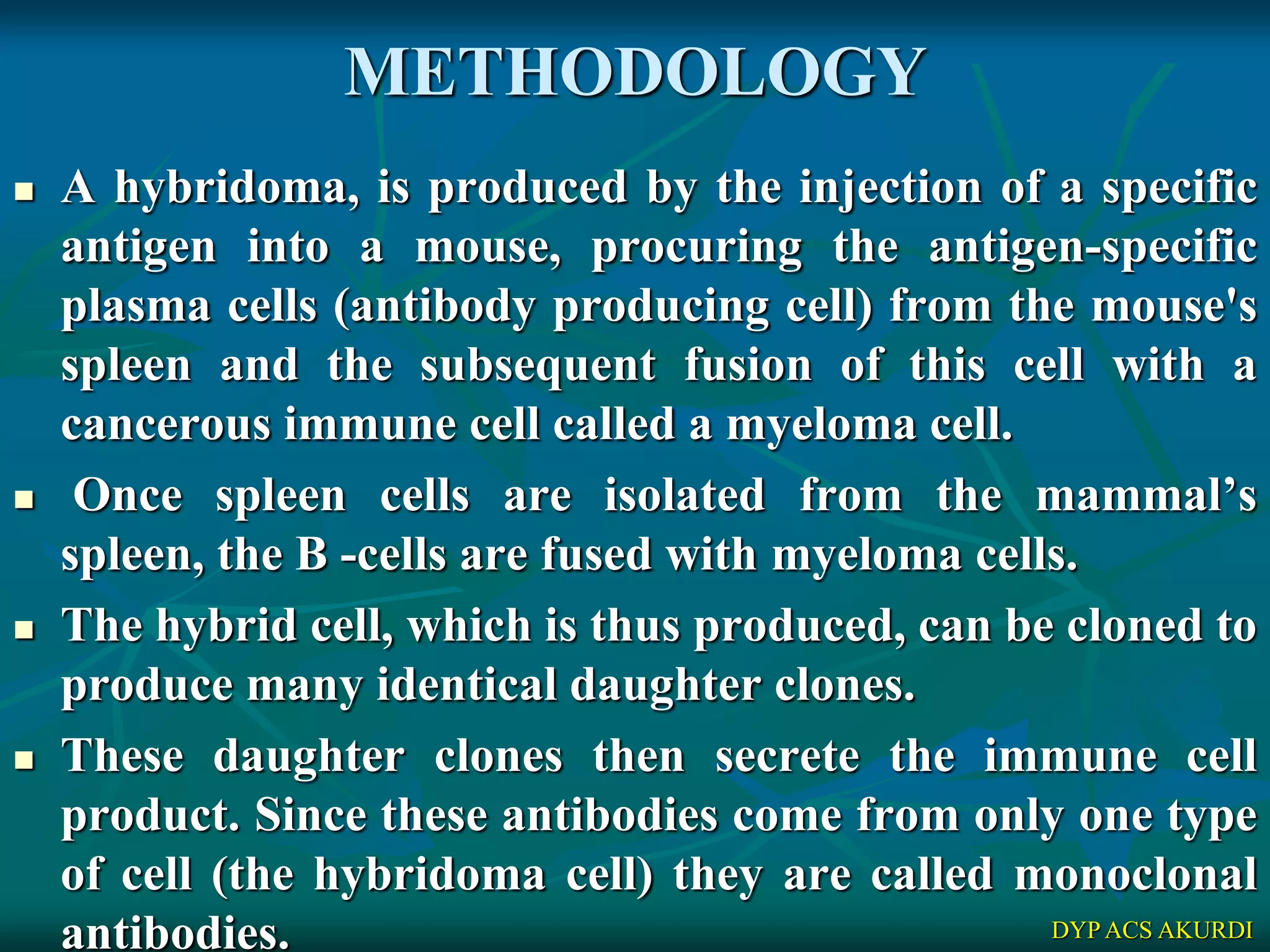 Hybridoma technology mukesh | PPT