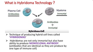 Hybridoma technology | PPTX